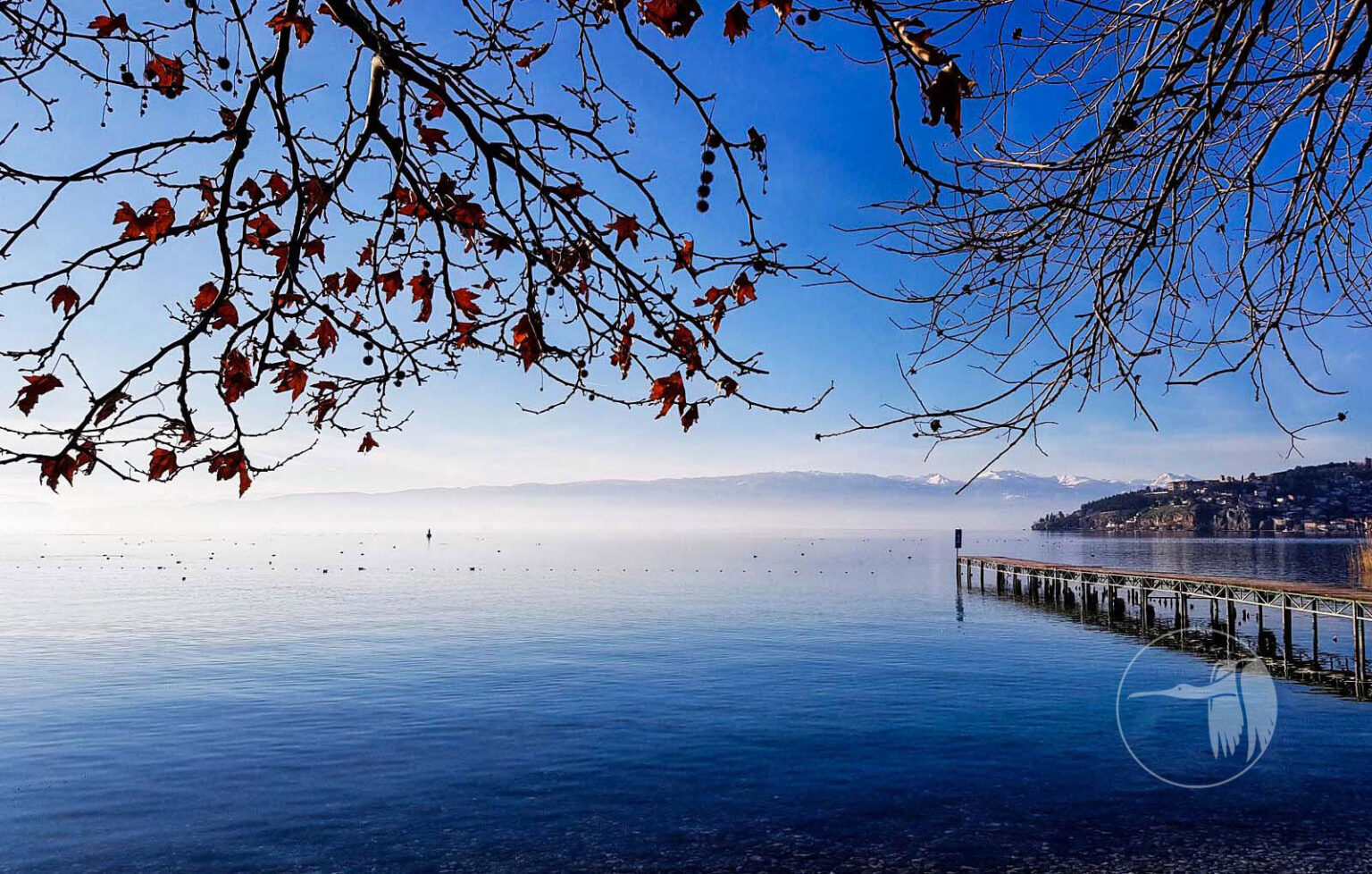 Udhëtim në Ohër, Struge, Shen Naum - 17 euro